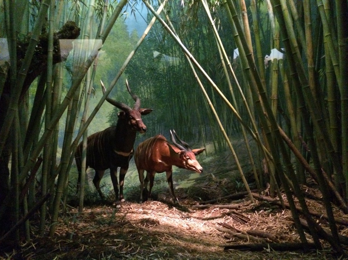 Tableau & Diorama. (iii) – Arran Q Henderson