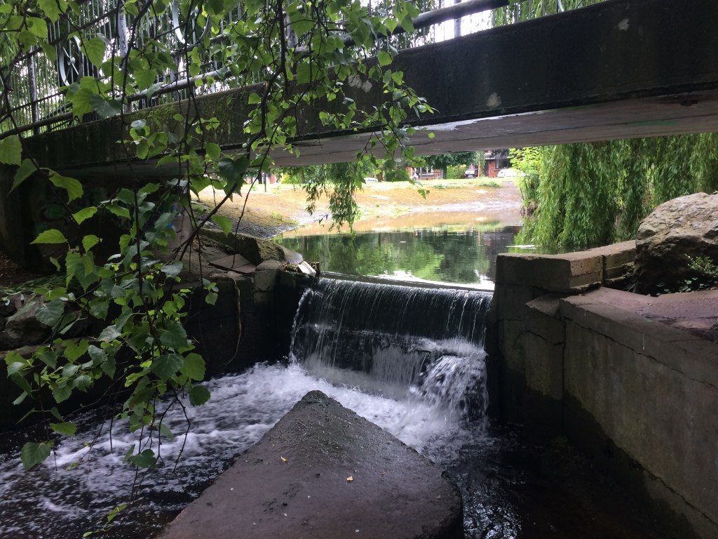 the best Poddle river… – Arran Q Henderson